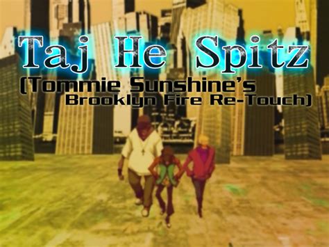 Taj He Spitz Tommie Sunshines Brooklyn Fire Re Touch Custom