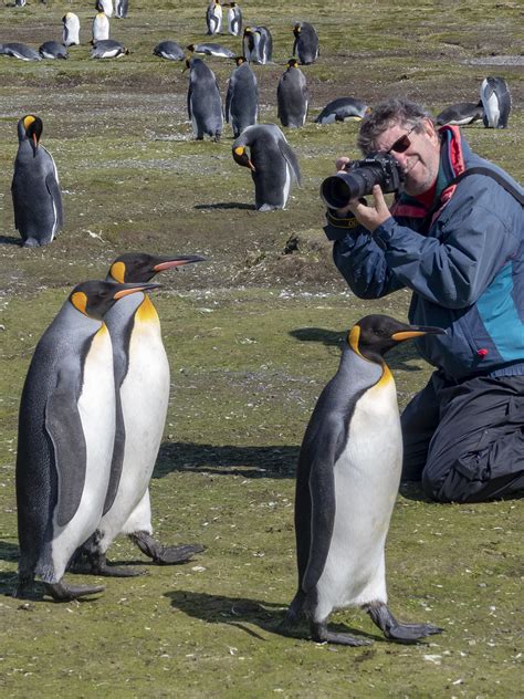 Assignment 5 Flickr Assignment 5 Flickr