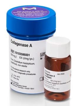 Dispase Ii Neutral Protease Grade Ii Neutral Protease