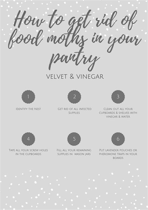 How Do I Know If I Have Pantry Moths At Pearline Beard Blog