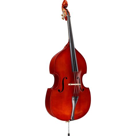 Etude Bass Ics 2 String Bass Outfit 12 Musicians Friend