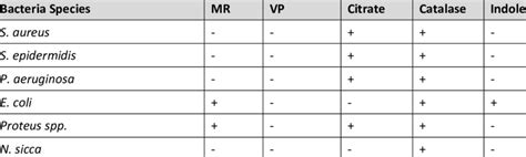 Biochemical Test Results For The Isolated Bacterium Download Scientific Diagram