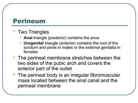 Anatomy Of The Perineum And Pelvis Ppt