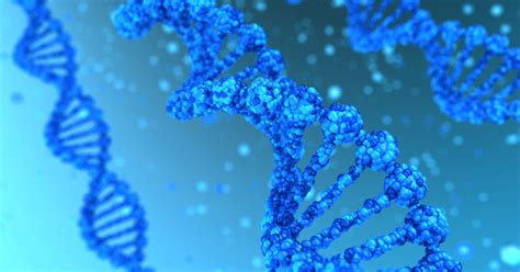 Snapshot What Is A De Novo Mutation National Ataxia Foundation