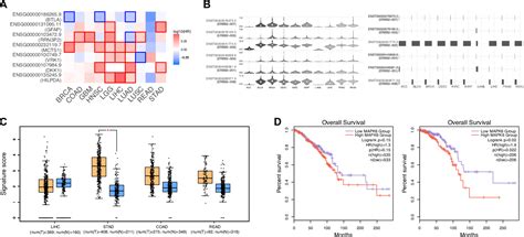 Genotype Tissue Expression Program Semantic Scholar