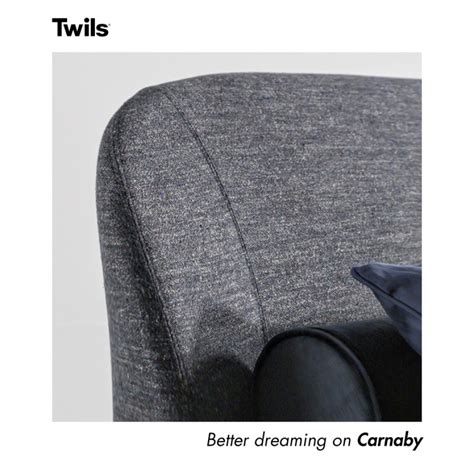 Carnaby Twils S R L