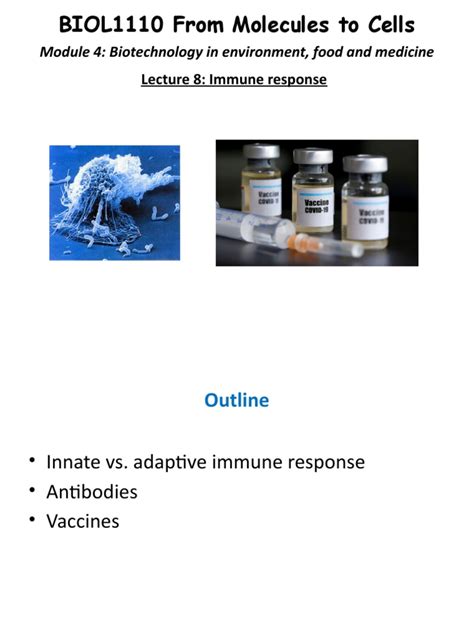 M2 Lecture 8 Immune Response Pdf Immune System Antigen