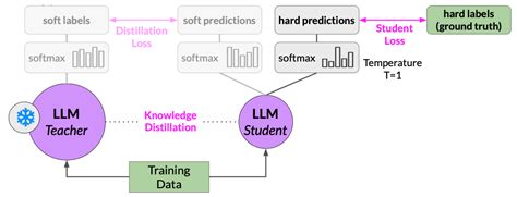 Genai With Llms 6 Llm Powered Applications Wenwen Kong