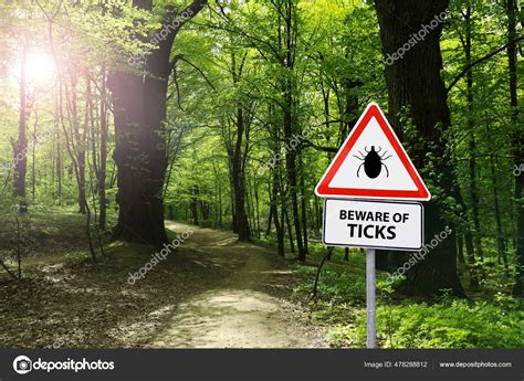 Cómo Puedo Prevenir Incendios Forestales En Mi Comunidad