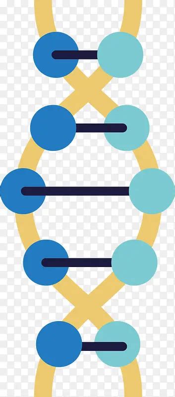 细胞卡通png图片素材下载图片编号11004344 Png素材网