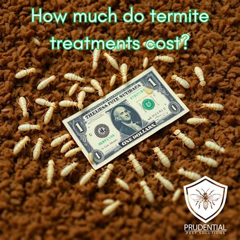 How Much Does A Termite Treatment Cost Prudential Pest Solutions