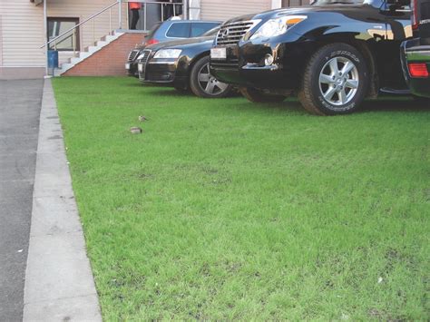 Easypave Grid Grass Driveway Grid Gravel Grid System Standartpark