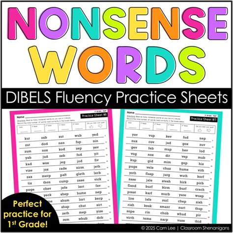 Dibels Nonsense Word Fluency Practice Worksheets 1st Grade Phonics And Fluency