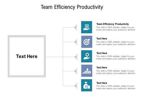 Team Efficiency Productivity Ppt Powerpoint Presentation Show