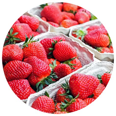 Belgium Dutch Strawberries Pkt Uk