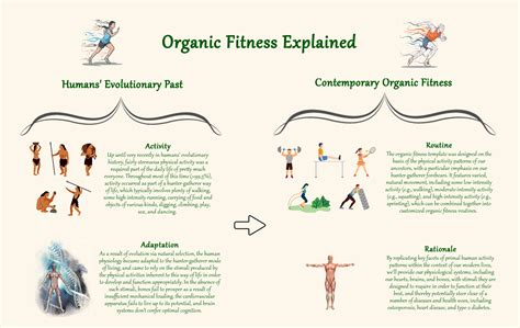 Organic Fitness Explained Eirik Garnås