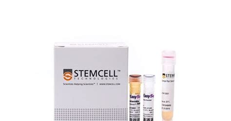 Easysep™ Mouse Naïve Cd8 T Cell Isolation Kit