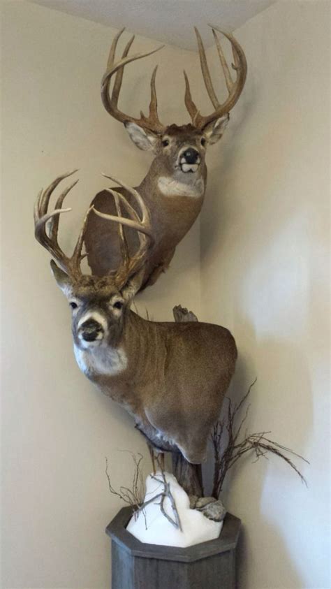 Deer Mount Poses Chart Minimalist Chart Design