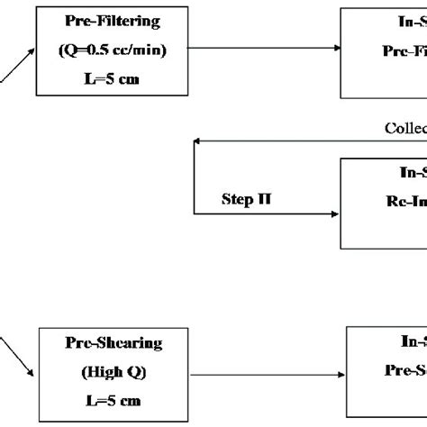 Flow Chart Of Polymer Pre Treatment Methods And Injection Into Porous