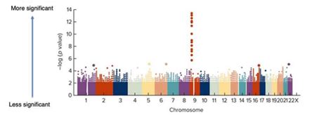 Genetics Chapter 12 And 21 Flashcards Quizlet Genetics Chapter 12 And 21 Flashcards Quizlet