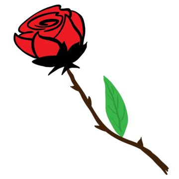 Rose With Thorns Hand Drawn Vector Isolated Handdrawn Illustration