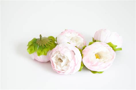 5 Small Mini Peonies In Pink And White Small Peonies Etsy