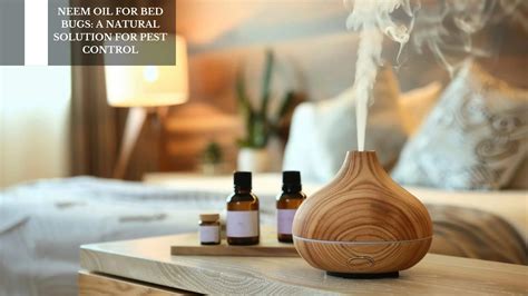 Neem Oil For Bed Bugs A Natural Solution For Pest Control Moksha