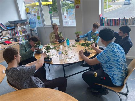 Peregrinate Offers Bonsai Classes Peregrinate School