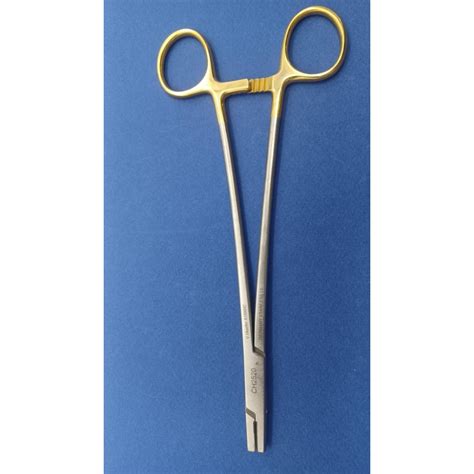 V Mueller Pointe Medical
