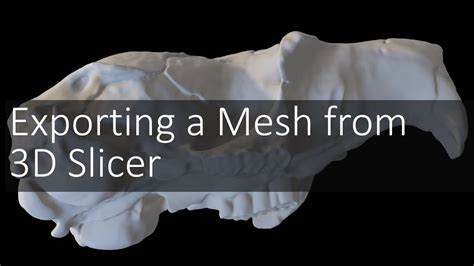 Exporting A Mesh From 3d Slicer Introduction To Digital Preparation Video 12 Youtube