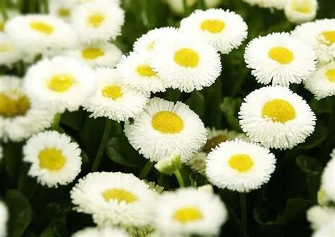 放慢脚步，感受冬日宝山街头不一样的色彩