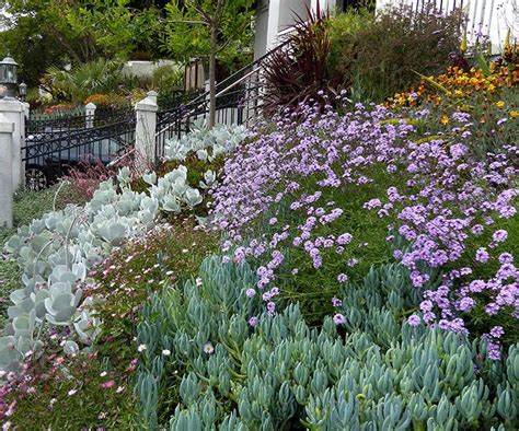 Kiss Your Grass Goodbye Front Yard Garden Cottage Garden Perennials