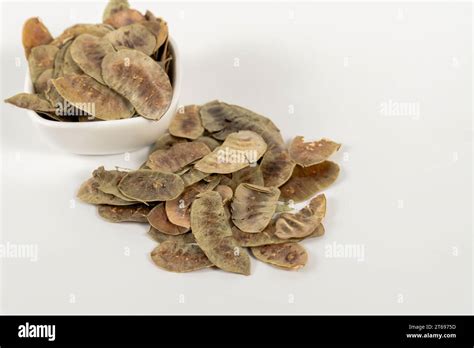 Senna Alexandrina Pods Cassia Senna With Depurative And Detoxifying Properties In A White