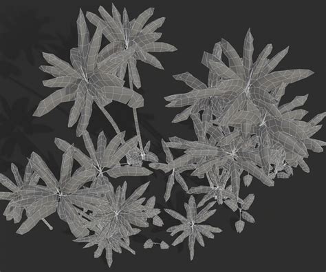 Artstation Modular Assai Palm Trees Euterpe Oleracea Game Assets