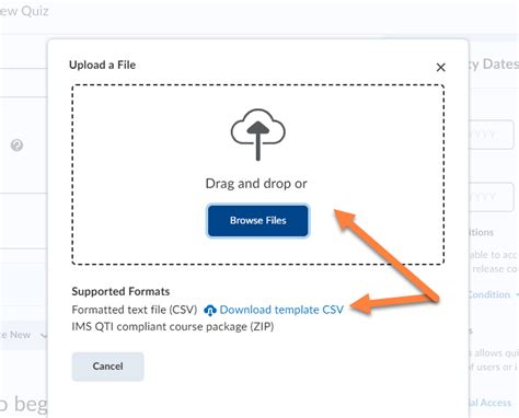 Quizzes Brightspace Essentials