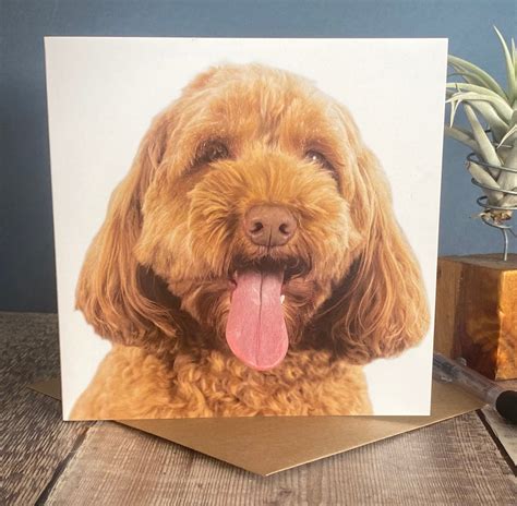 Cockapoo Greeting Card Dog Birthday Card Dog Card Blank Inside Any