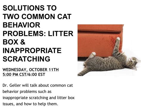 Meredith Small On Linkedin Join Us Today For An Informative Webinar About Common Cat Behavior…