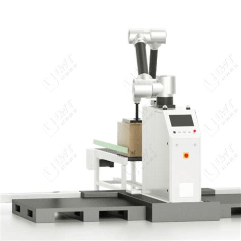 Palletizer Robotic Column Collaborative Carton Box Stacking Robot