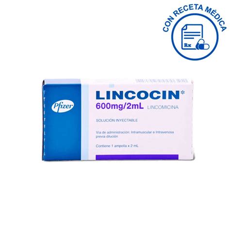 Lincocin 600mg 2ml Ampolla Caja 1 Un Boticas Hogar Y Salud