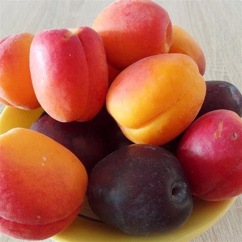 A Guide To The Most Popular Types Of Stone Fruit