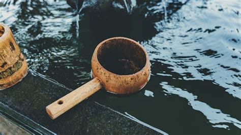 Zhicheng Zhang 摄影