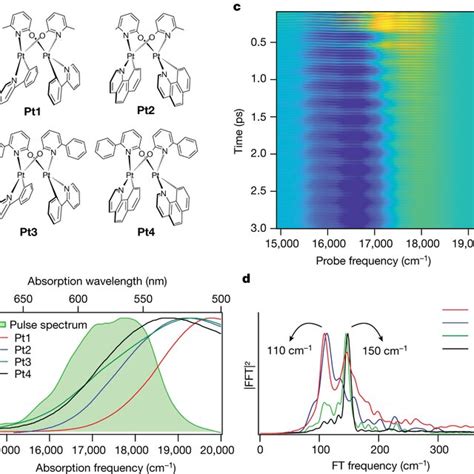 Spectral Fourier Filtering And Nonlinear Least Squares Fitting Reveals Download Scientific