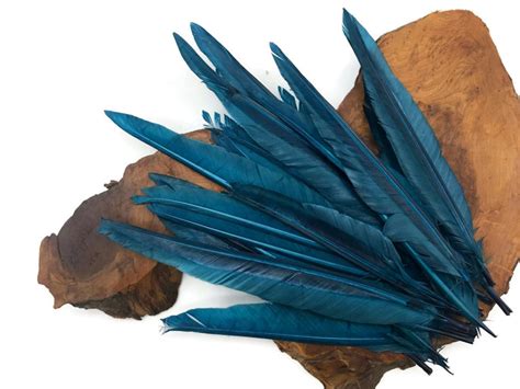 Duck Feathers 14 Lb Dyed Teal Blue Duck Pointer Primary Wing