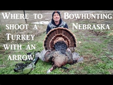 Archery Shot Placement Turkey Where To Shoot A Turkey With Mathewss Bow
