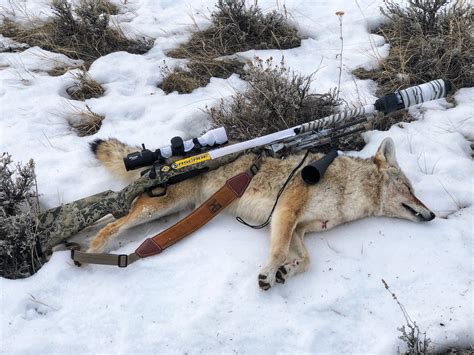 Cva Cascade Xt Rifle Review Archives Born Hunting