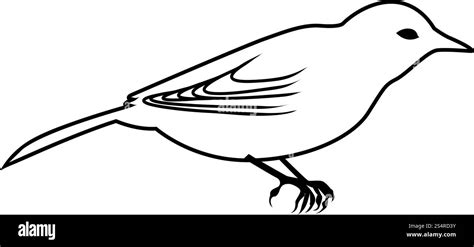 Sketch Of Bird Outline Design Vector Illustration Stock Vector Image