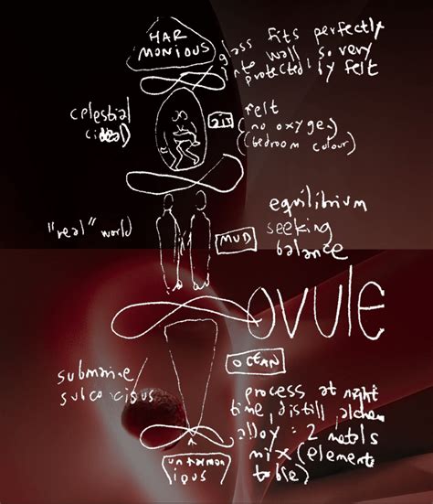 Björk Ovule Lyrics Genius Lyrics