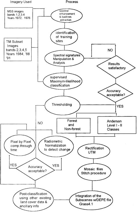 Flow Chart Of The Dioe Erent Methodological Steps In The Image Analysis