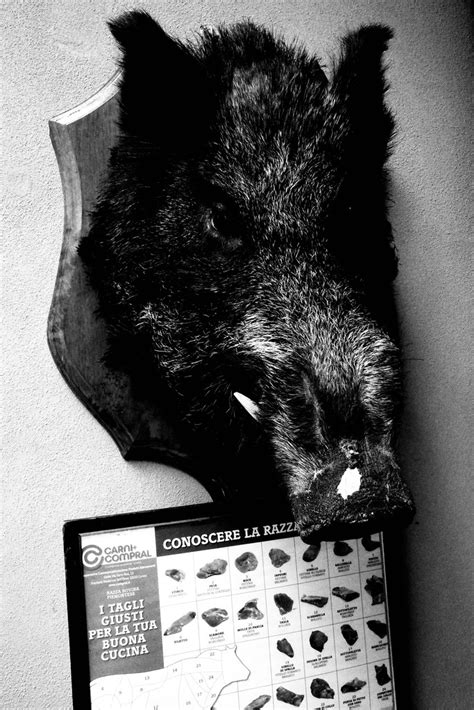 Untitled Sergio Degrassi Flickr