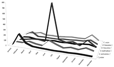 Density By Species Ind100 M Download Scientific Diagram